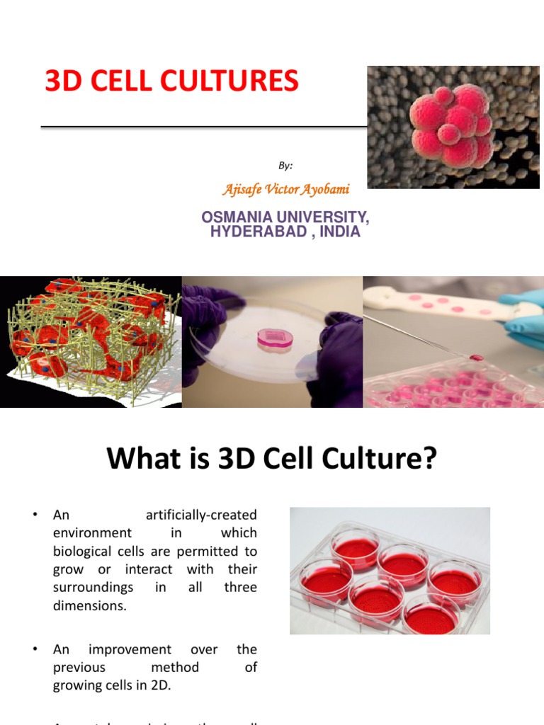 3D Cell Cultures: Ajisafe Victor Ayobami | PDF | Tissue Engineering ...