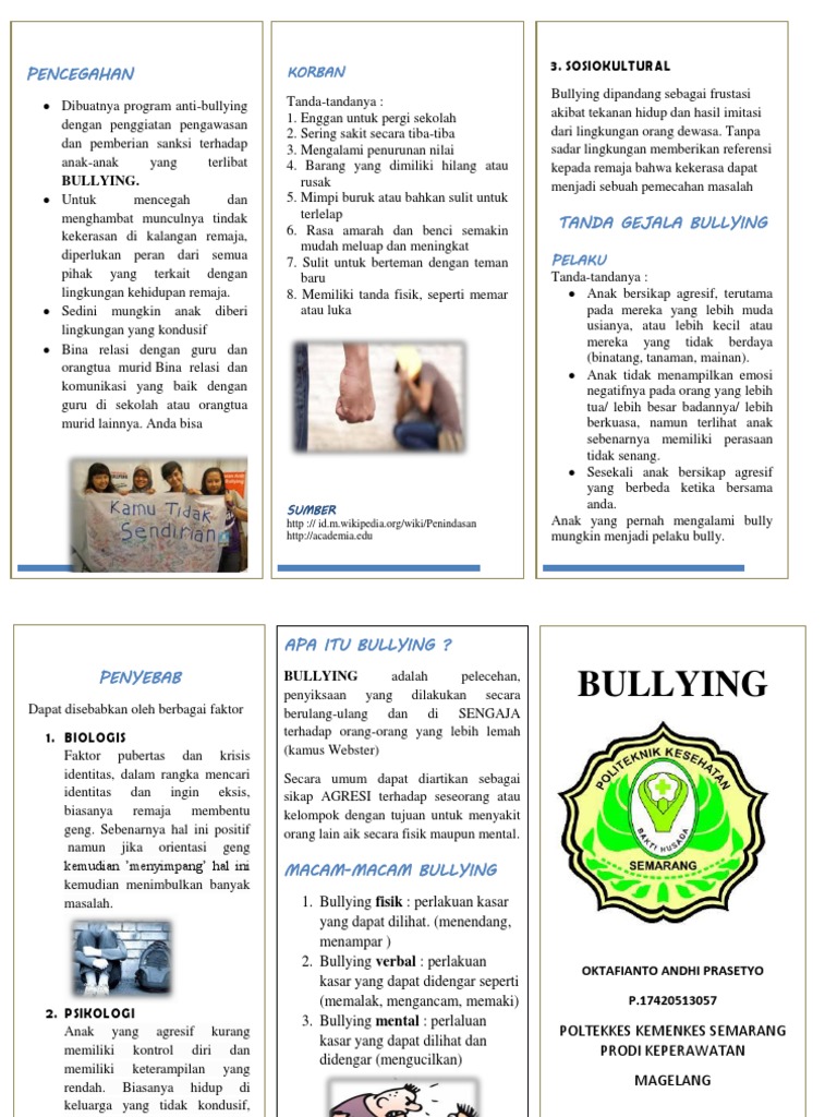 Leaflet Bullying | PDF