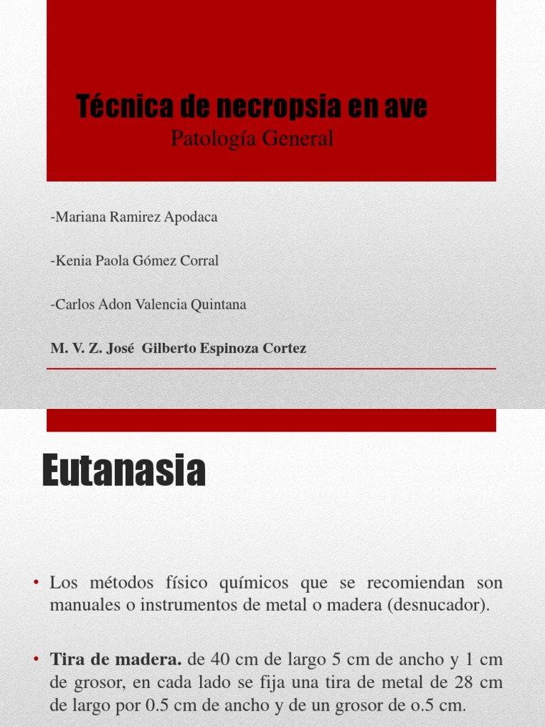 Técnica de Necropsia en Aves | PDF | Abdomen | Articulación