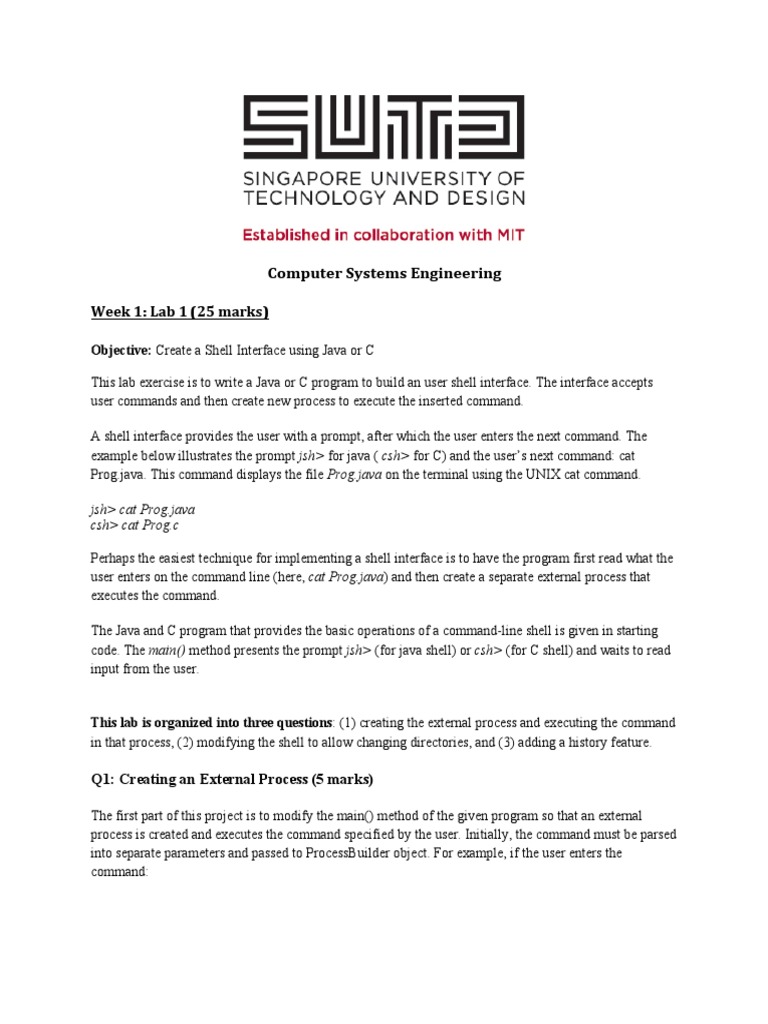 Lab1 Shell Interface | PDF | Command Line Interface | Computer Data