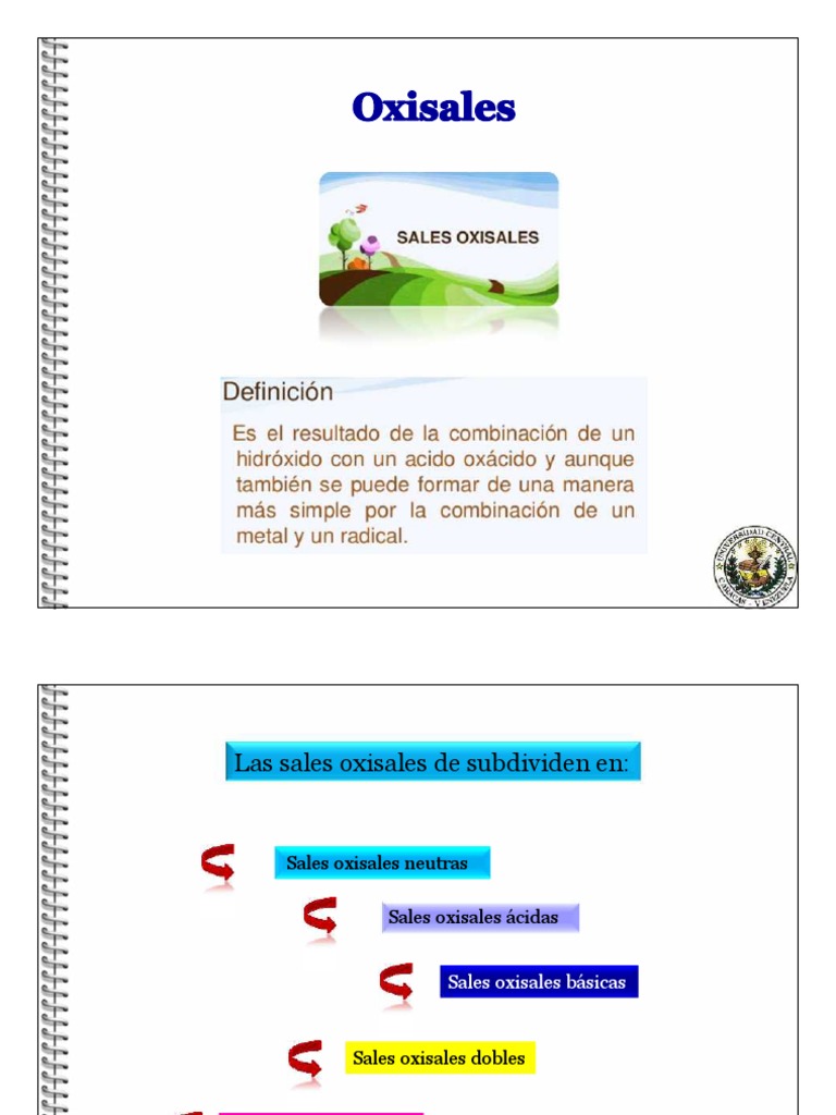 Oxisales | PDF | Ion | Sal (química)