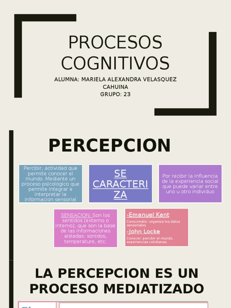 Procesos Cognitivos Pdf Percepción Ciencias Del Comportamiento