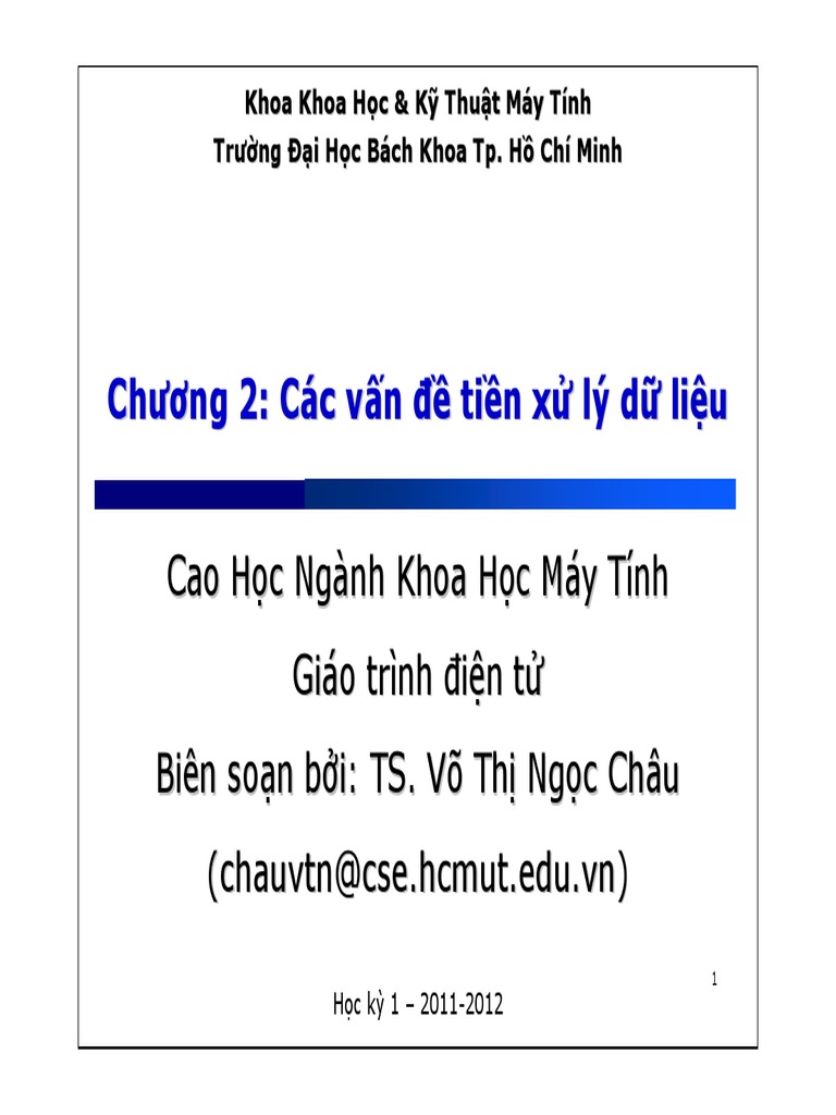 Cac Van de Ve Tien Xu Ly Du Lieu - TS. Vo Thi Ngoc Chau | PDF