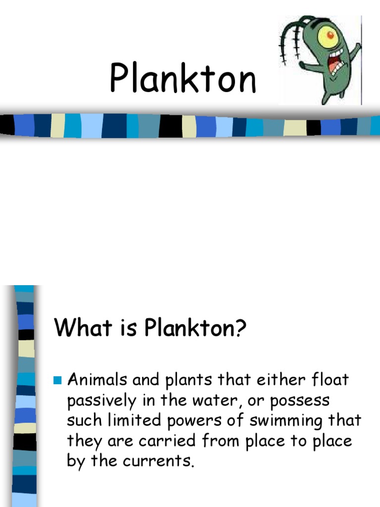 Plankton | PDF | Plankton | Phytoplankton