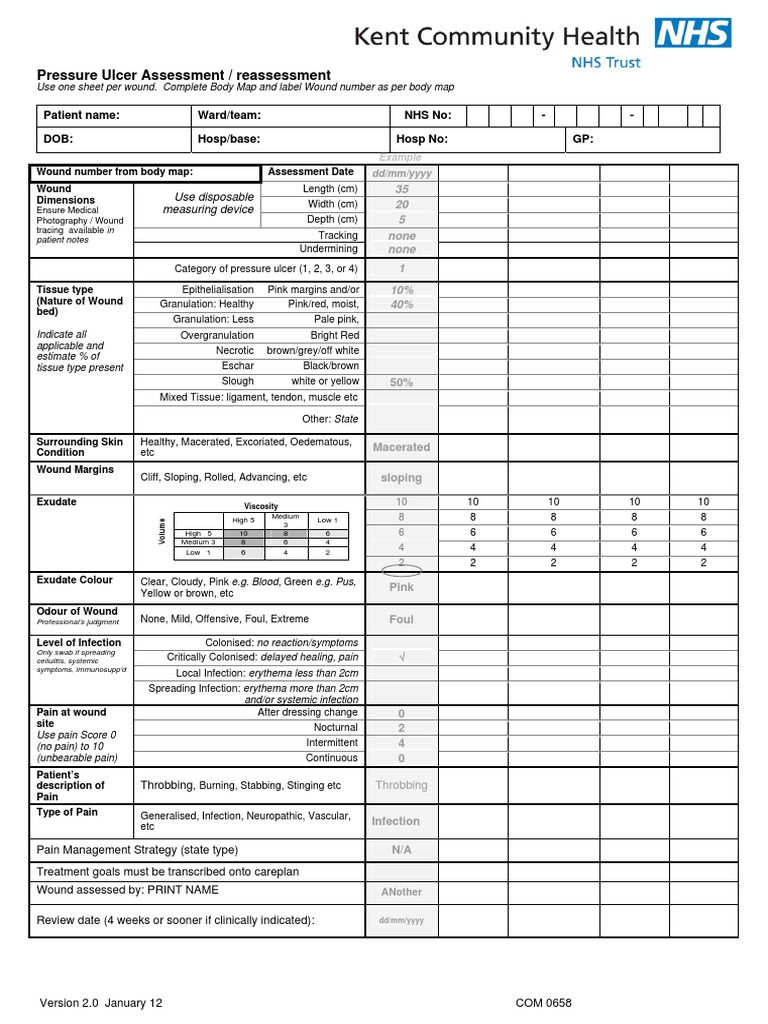 Pressure Ulcer Assessment Guide | PDF | Pain | Wound