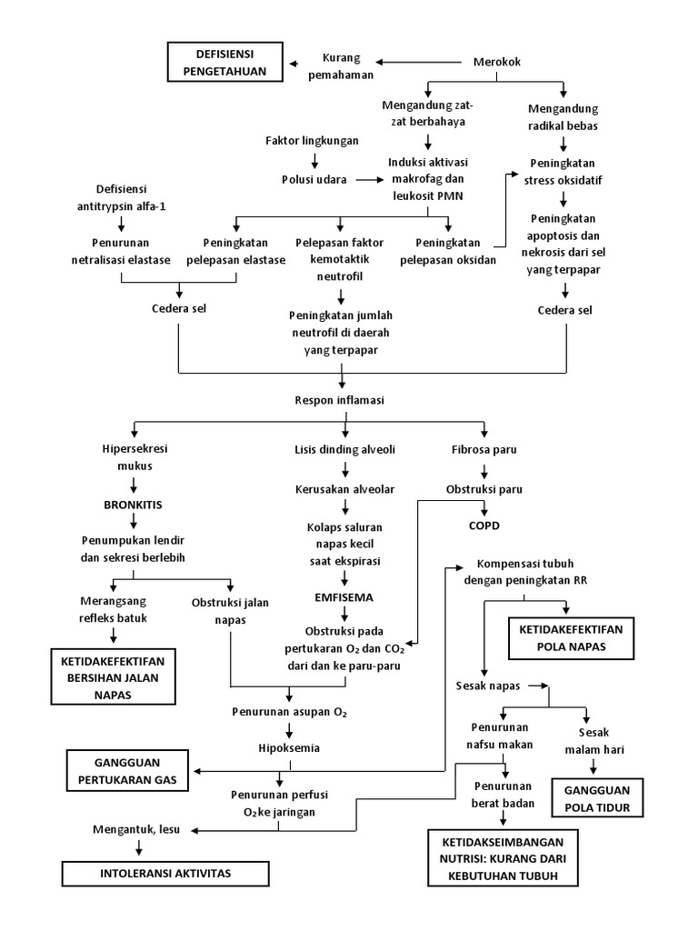 Pathway COPD | PDF