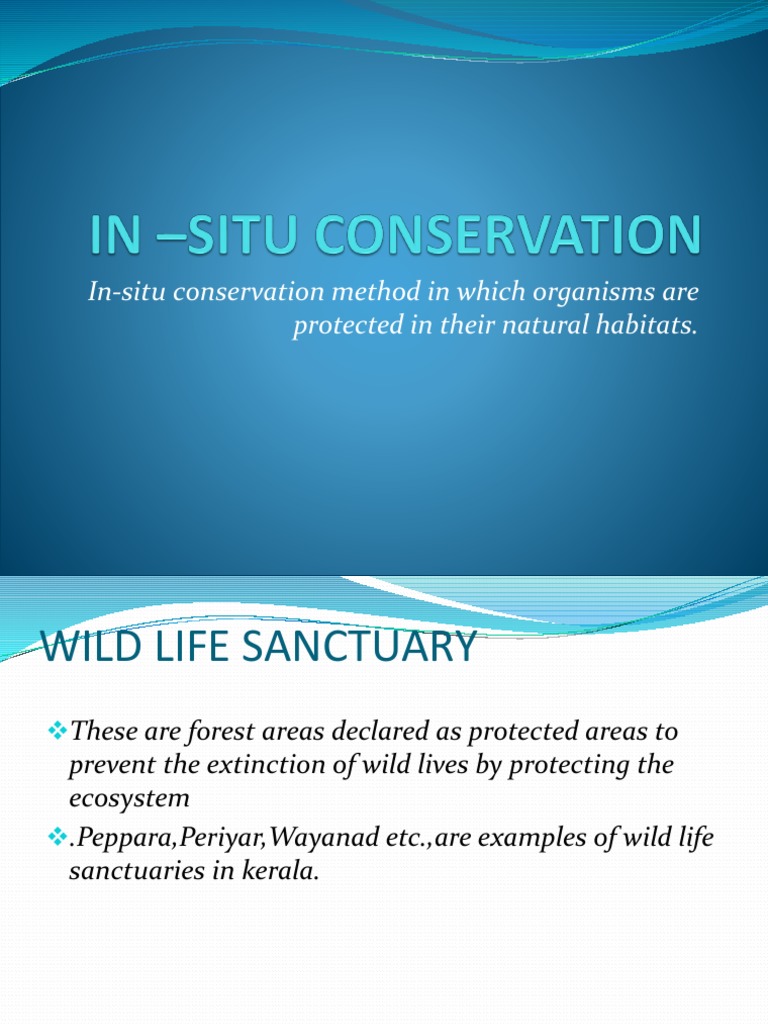 In - Situ Conservation | PDF