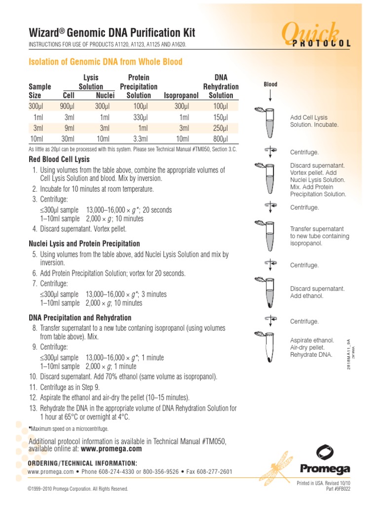 Wizard Genomic Dna Purification Kit Quick Protocol Pdf Pdf Lysis