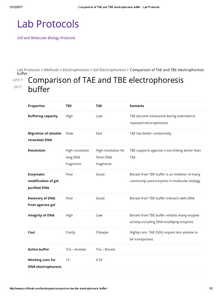 Comparison of TAE and TBE Electrophoresis Buffer - Lab Protocols | PDF ...