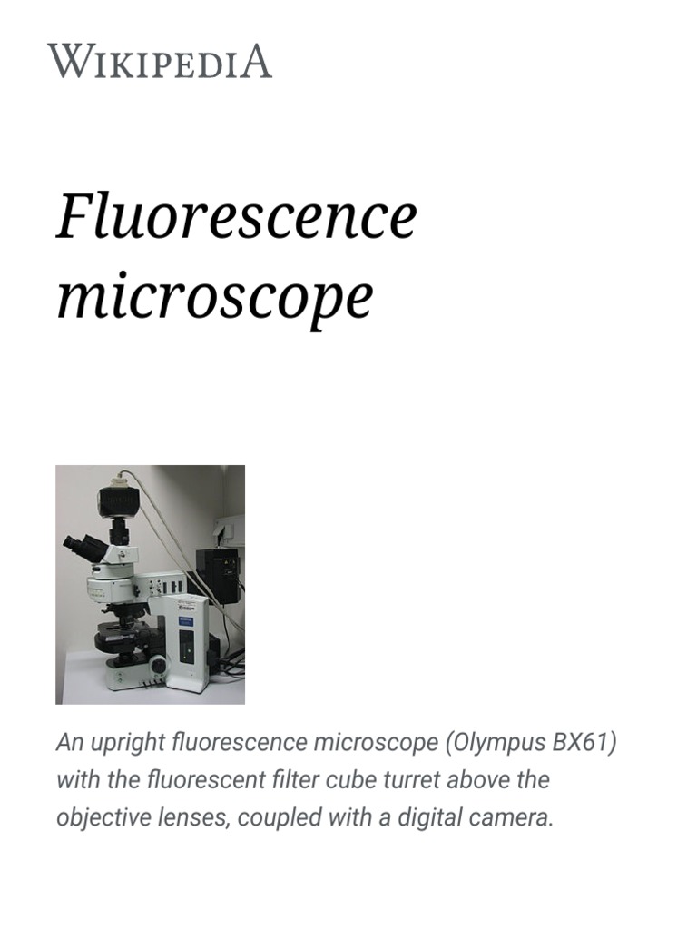 Fluorescence Microscope Download Free Pdf Fluorescence Microscope