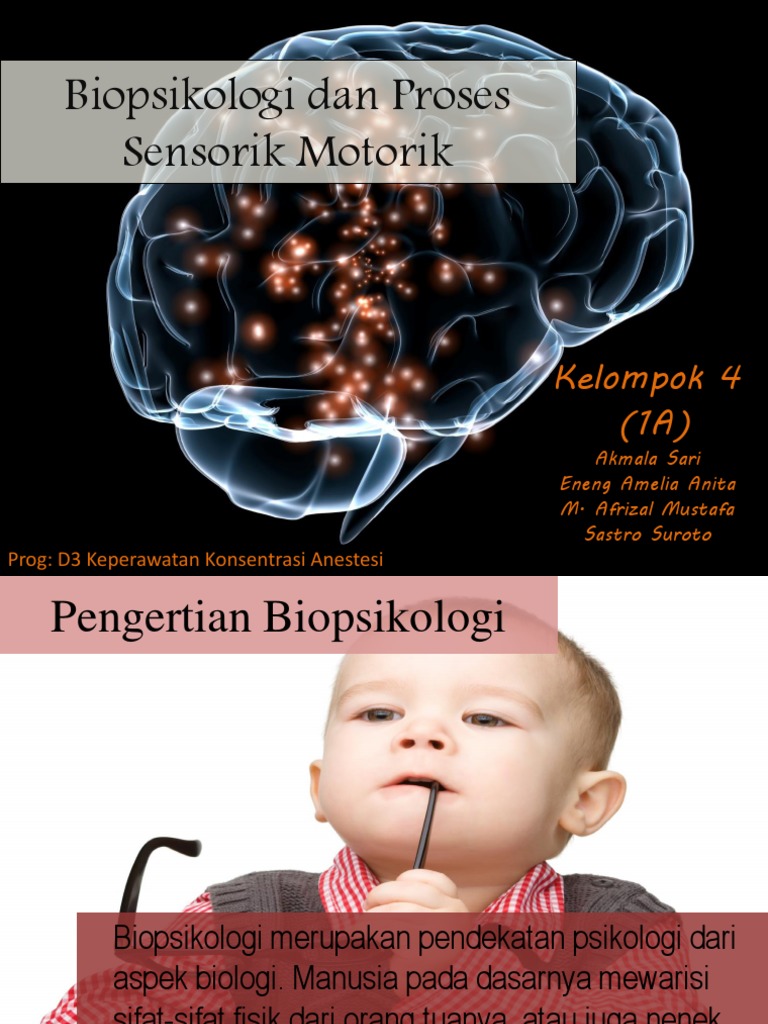 Biopsikologi Dan Proses Sensorik Motorik | PDF