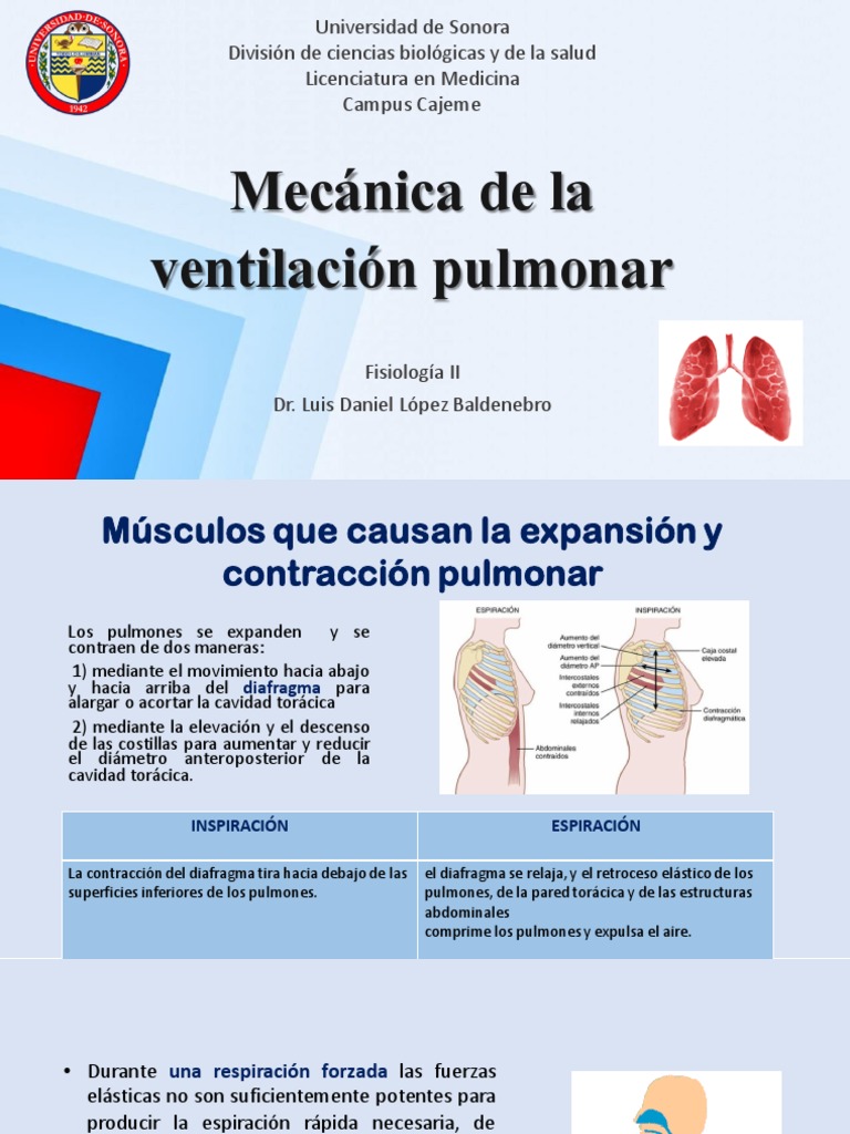 Mecánica de La Ventilación Pulmonar | PDF | Pulmón | Sistema respiratorio