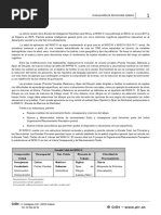 WISC-IV para El Informe, Ejemplo de Devolución. | PDF | Inteligencia | Ciencias del comportamiento