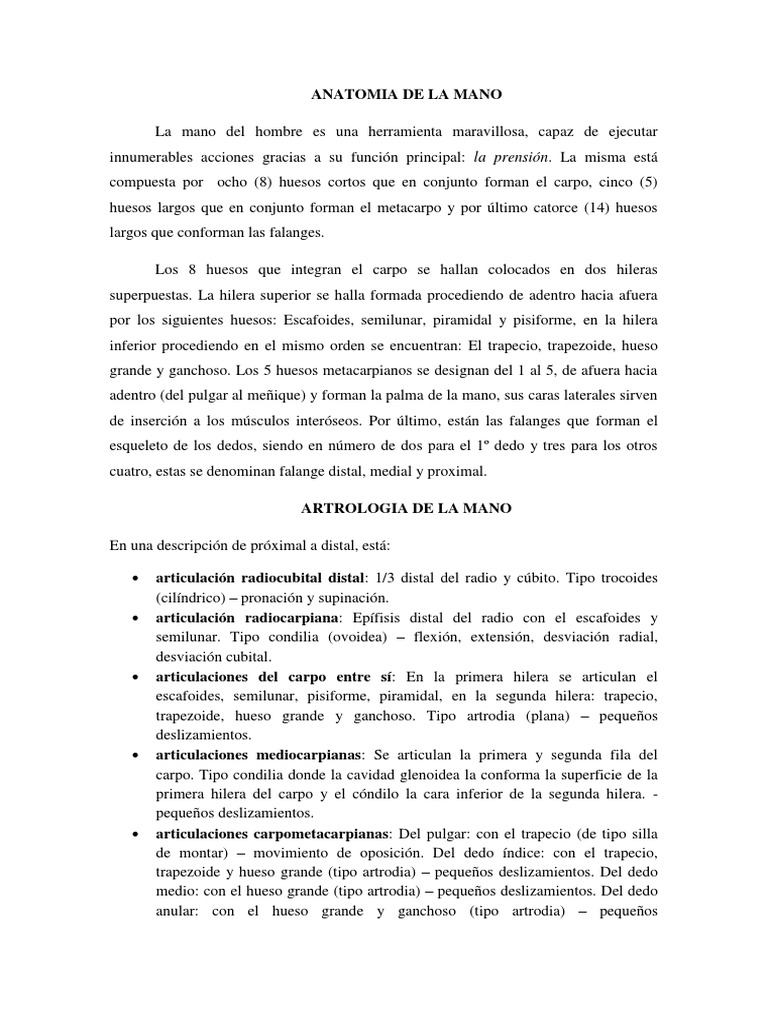 Anatomía y músculos de la mano | PDF | Mano | Sistema musculoesquelético