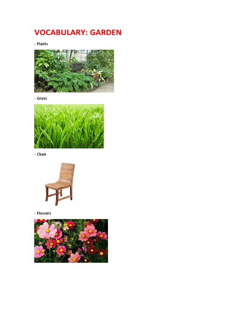 Vocabulary: Garden: - Plants | PDF | Home & Garden | Art