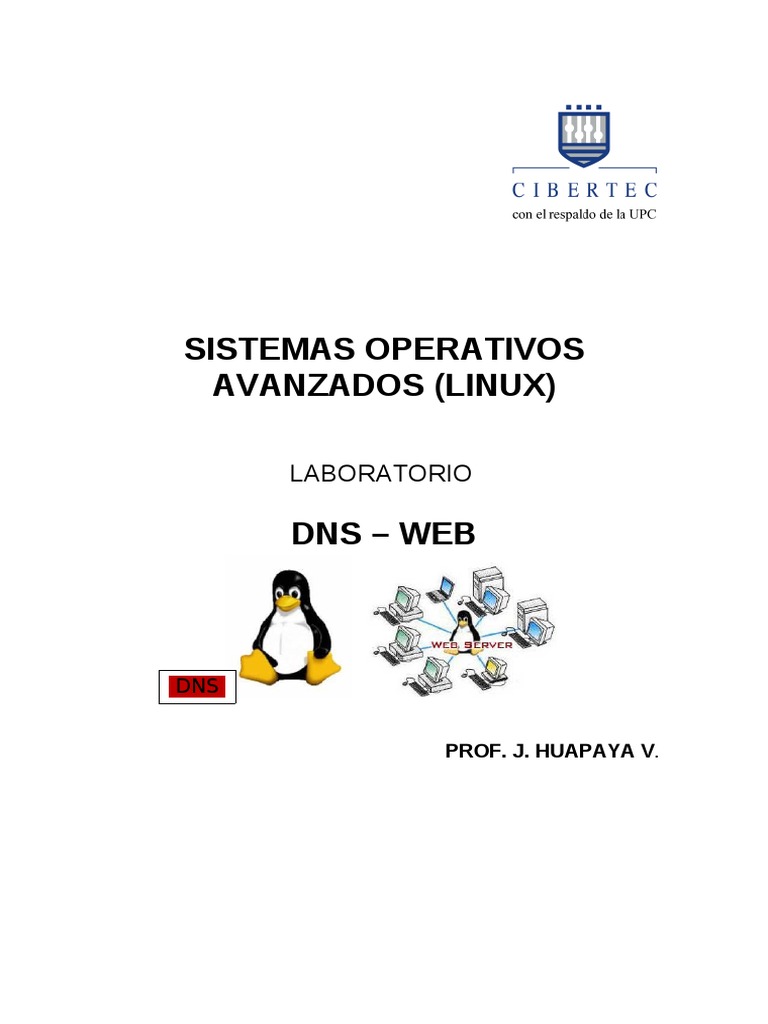 Servidor DNS - Web PDF | PDF | Servidor web | Internet y web