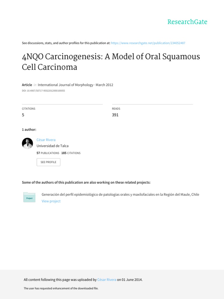 4NQO Carcinogenesis Amodel Oforalsquamouscellcarcinoma2012 | PDF ...
