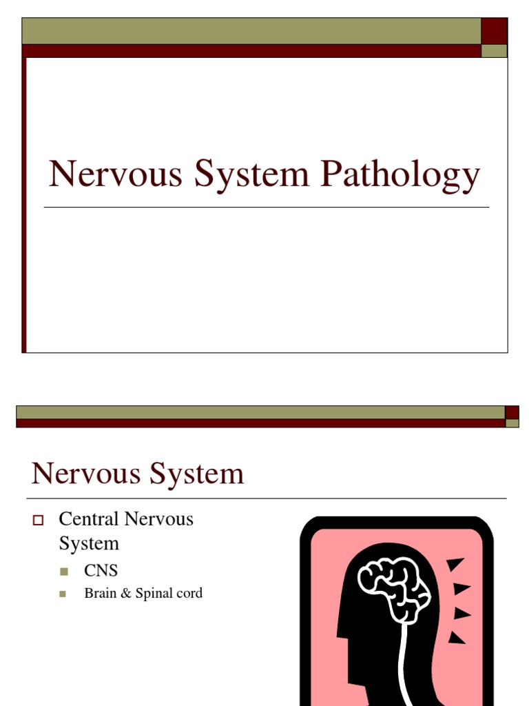 Nervous System Pathology | Download Free PDF | Central Nervous System ...
