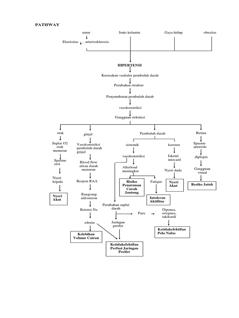 Pathway HT | PDF