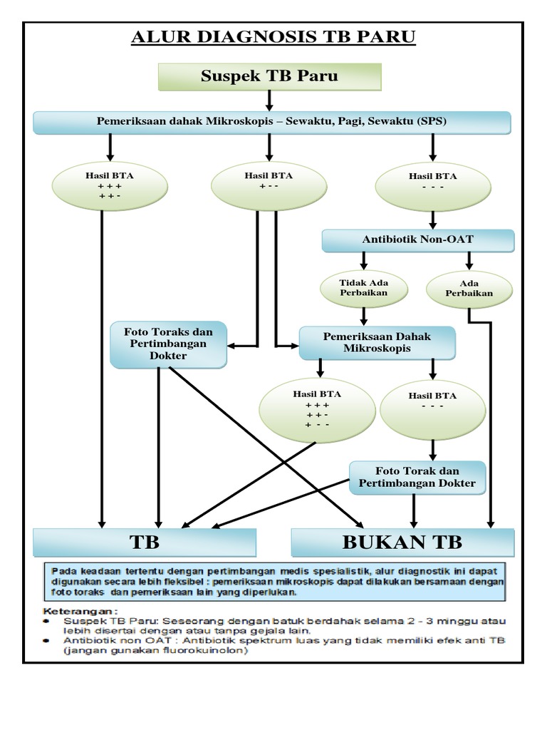 Alur Diagnosa Pasien TB Paru | PDF