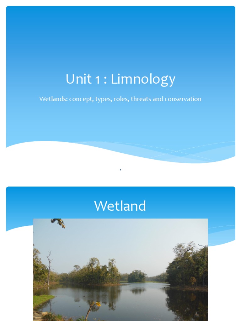 2. Wetland.pdf | Wetland | Peat