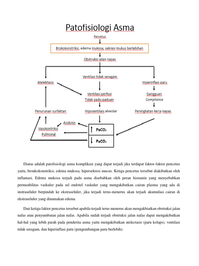 Patofisiologi Asma Komplikasi | PDF