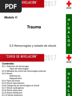 Protocolo XABCDE | PDF