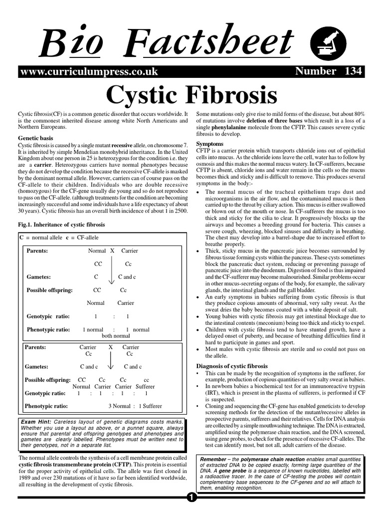 Cystic Fibrosis: Bio Factsheet | PDF | Dominance (Genetics) | Gene Therapy