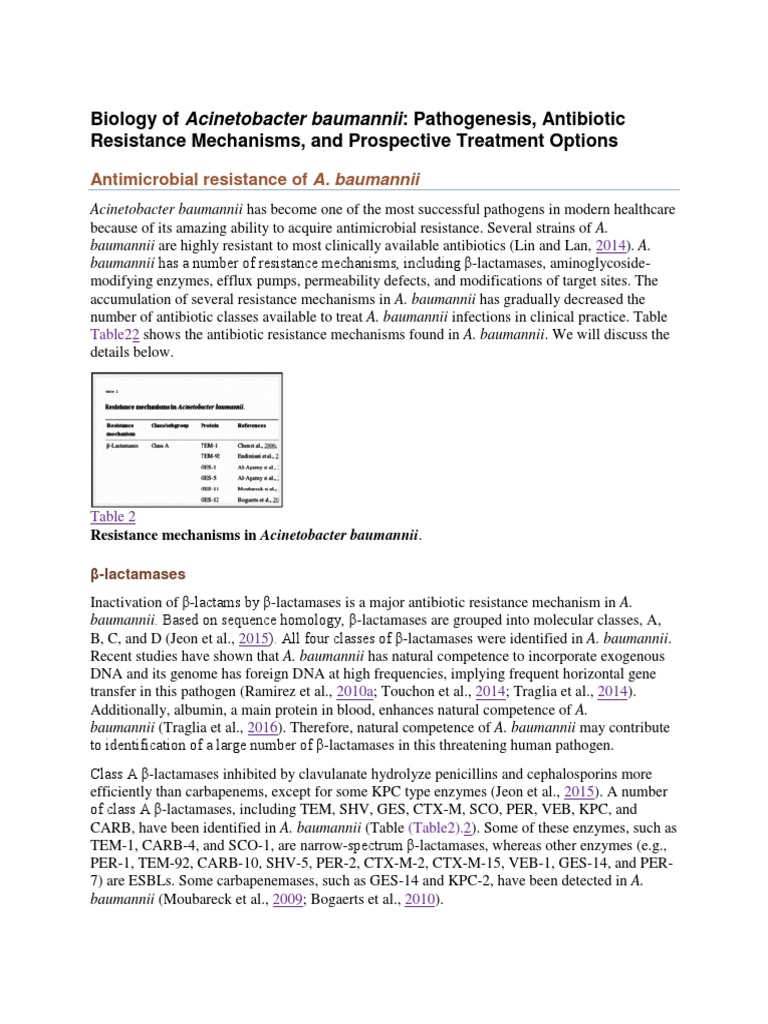 Biology of Acinetobacter Baumannii: Pathogenesis, Antibiotic Resistance ...