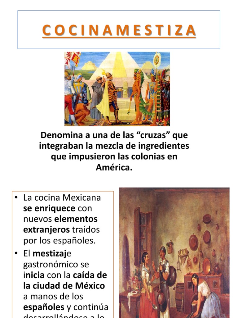Cocina Mestiza | PDF | Gastronomía | Cocina mexicana