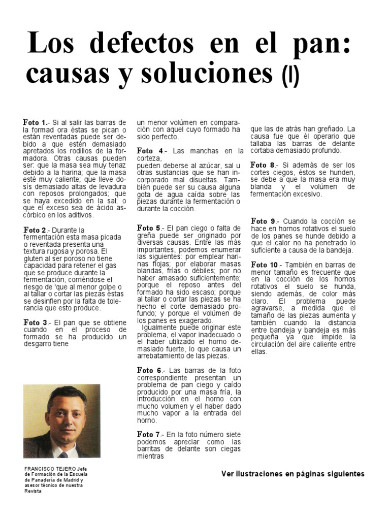 Panificación, Defectos Del Pan | PDF | Panes | Comidas fermentadas