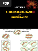 KLB Biology Form 4 | PDF | Dominance (Genetics) | Allele