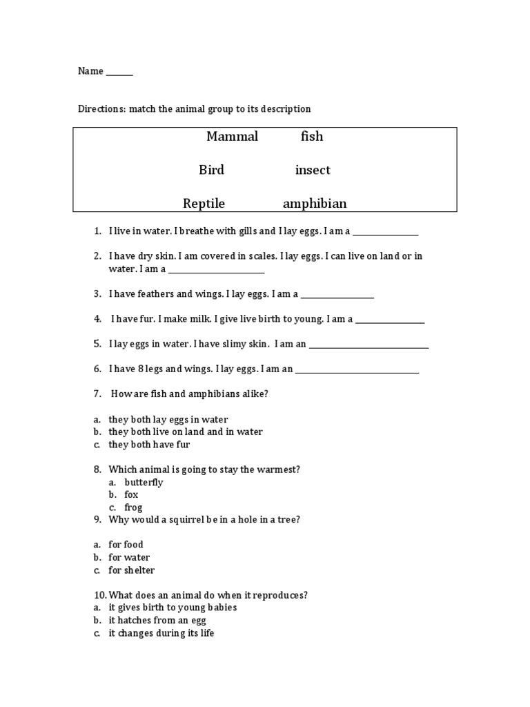 Animal Groups Matching Worksheet | PDF | Science & Mathematics