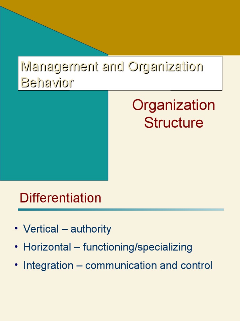 MGT 08 Org Structures | PDF | Organizational Structure | Chemistry