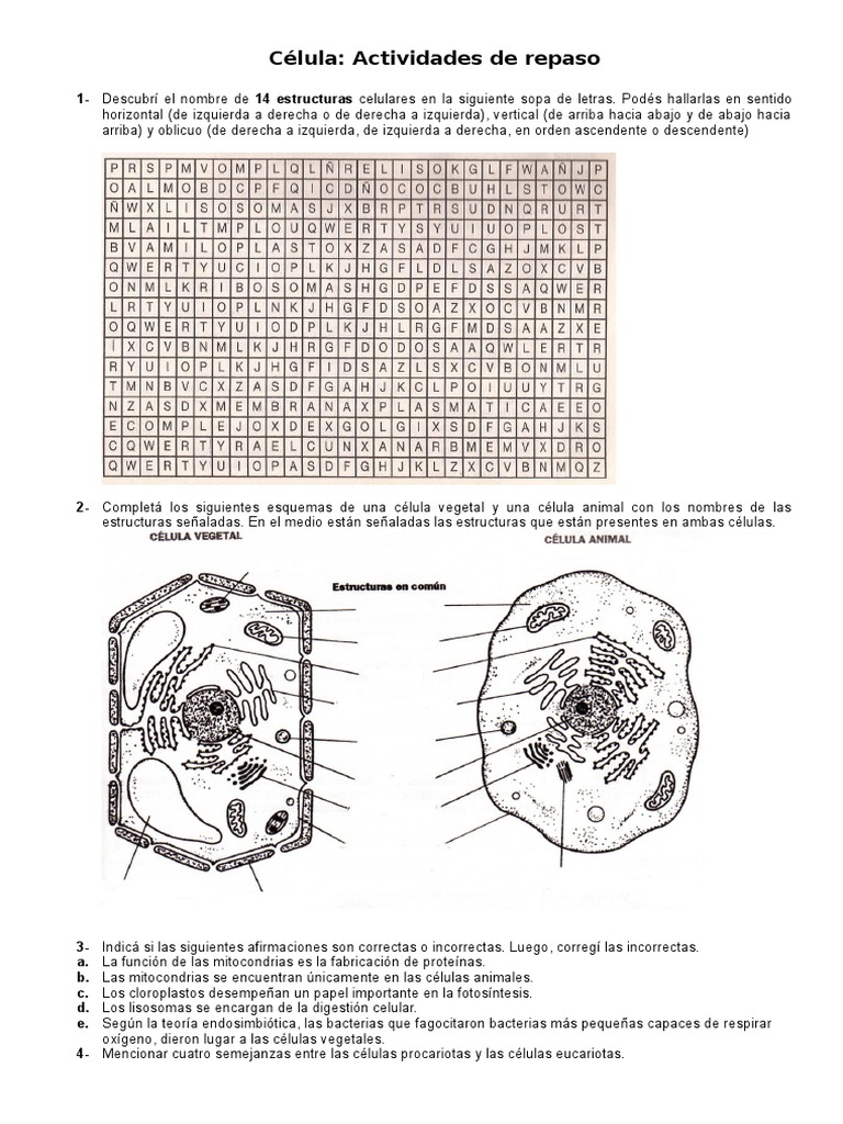 Célula Repaso | PDF