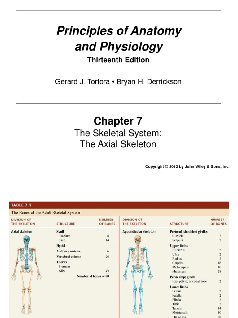 Principles of Anatomy and Physiology: The Skeletal System: The Axial ...
