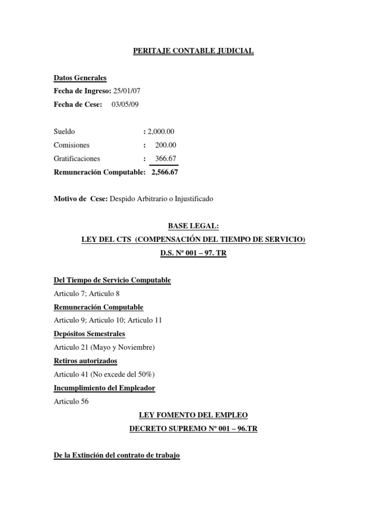 Modelo Informe Peritaje Contable Judicial | PDF | Relaciones laborales | Gobierno