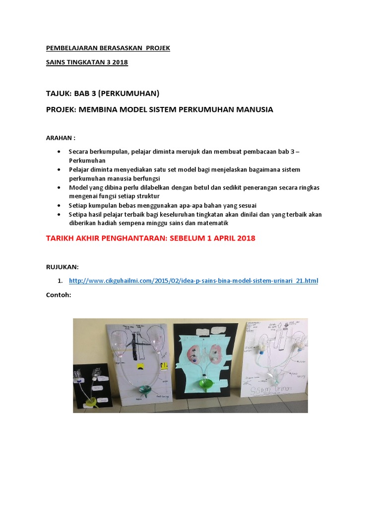 Projek Based Learning Sains | PDF