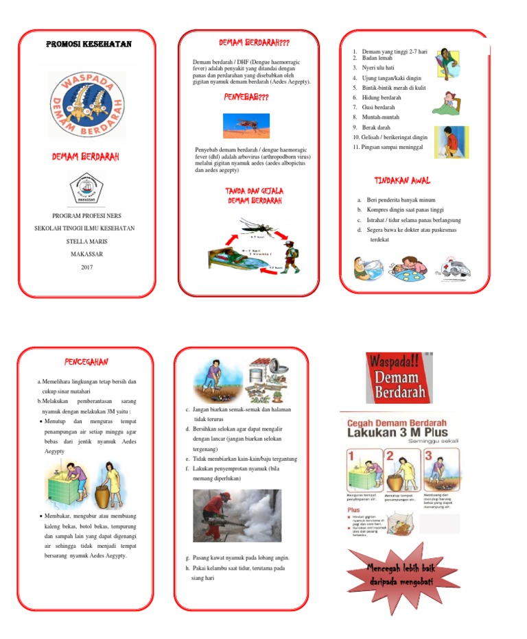 Leaflet DBD | PDF