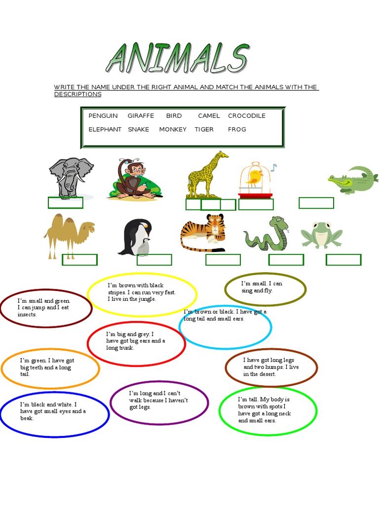 Animals Fun Activities Games | PDF