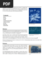 Cyanotype Process Worksheet Guide | PDF | Art Media | Vision