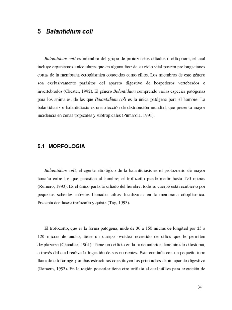 Balantidium Coli PDF | PDF | Inmunología | Especialidades Medicas