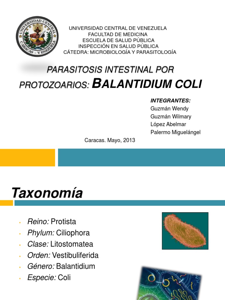 Balantidium Coli | PDF | Diarrea | Enfermedades y trastornos