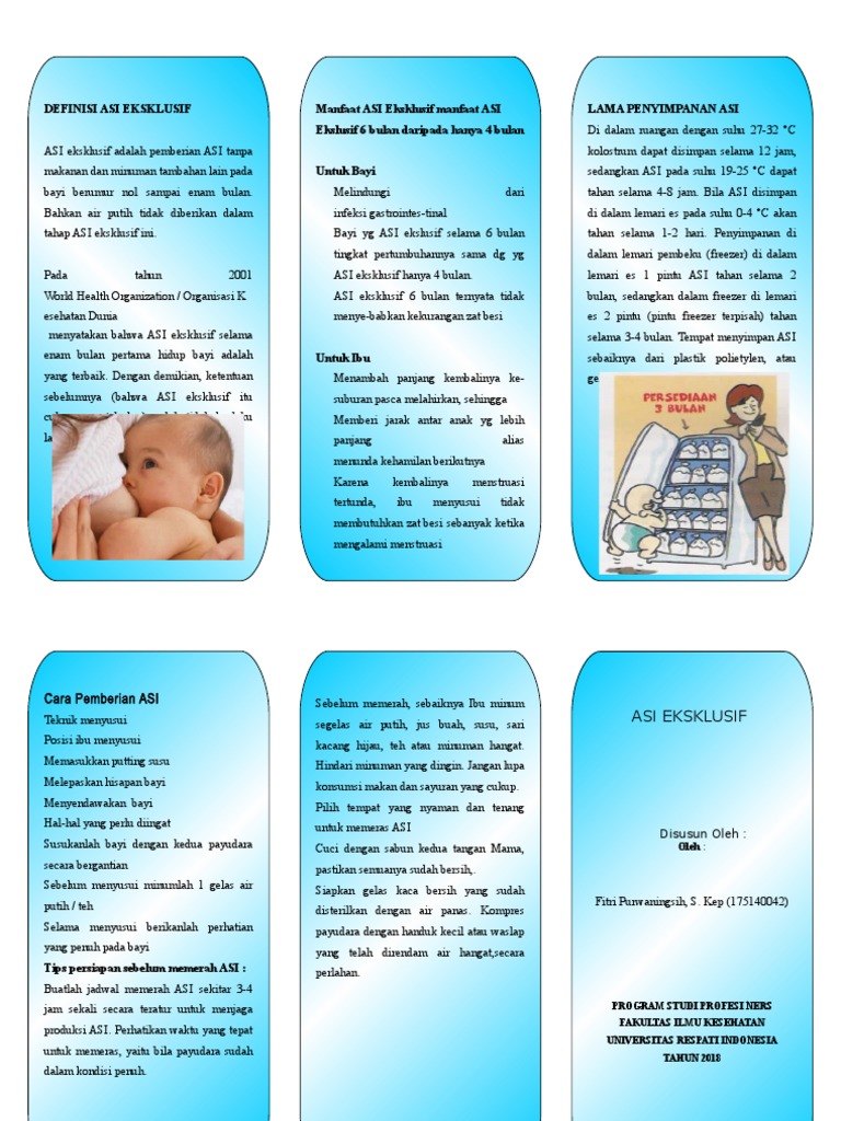 Leaflet Asi Eksklusif | PDF