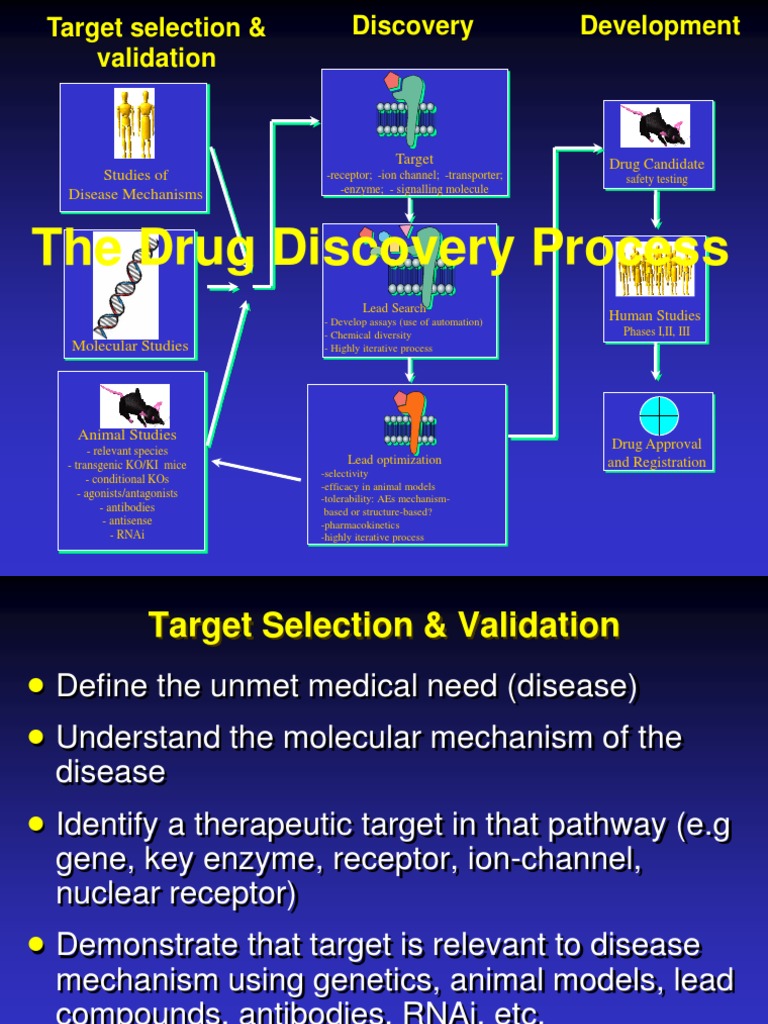 Drug Discovery | PDF