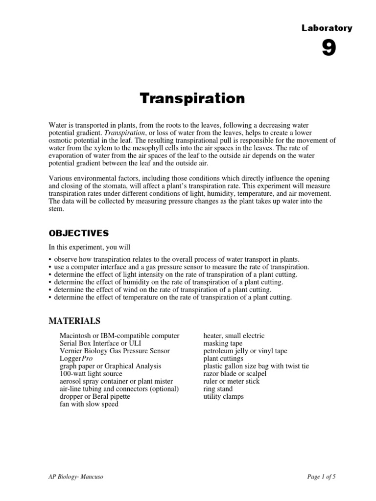 Transpiration: Laboratory | PDF | Leaf | Nature