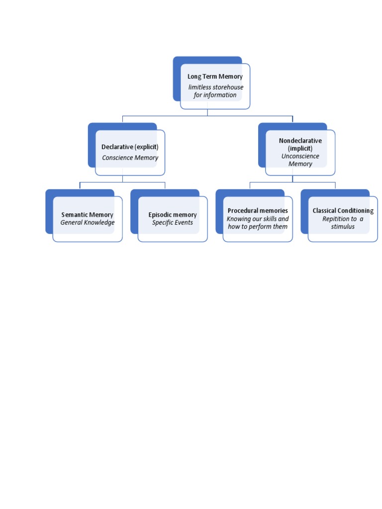 Long Term Memory: Limitless Storehouse For Information | PDF