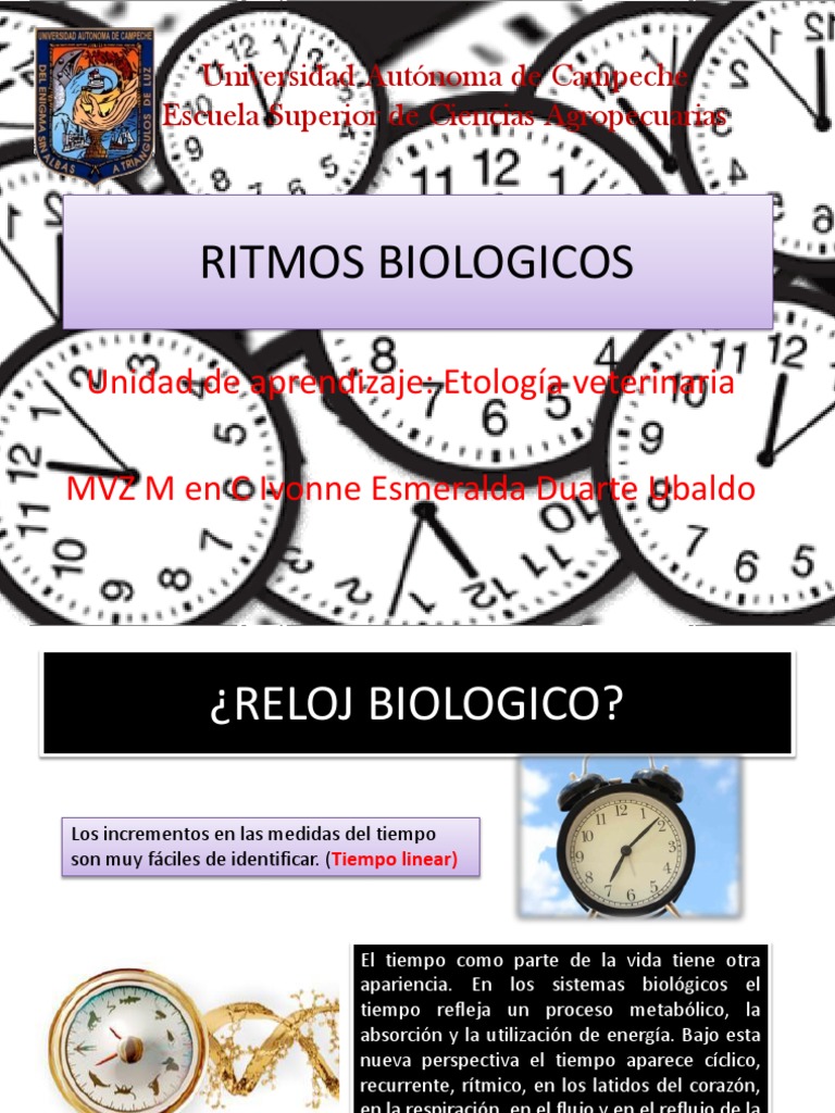 RITMOS BIOLOGICOS | Ritmo circadiano | Dormir
