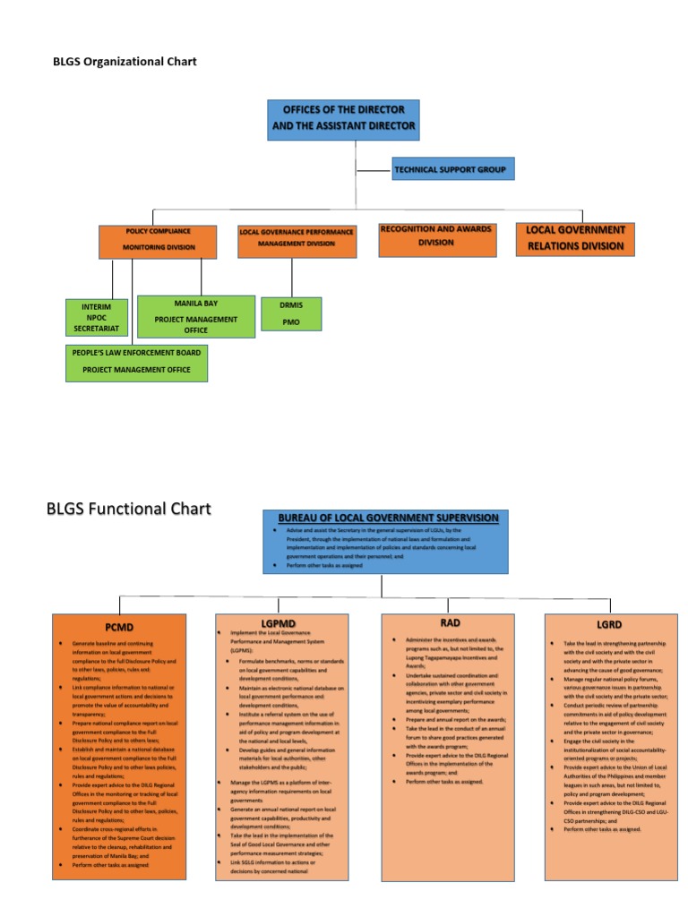 BLGS Organizational Chart | PDF | Governance | Regulatory Compliance
