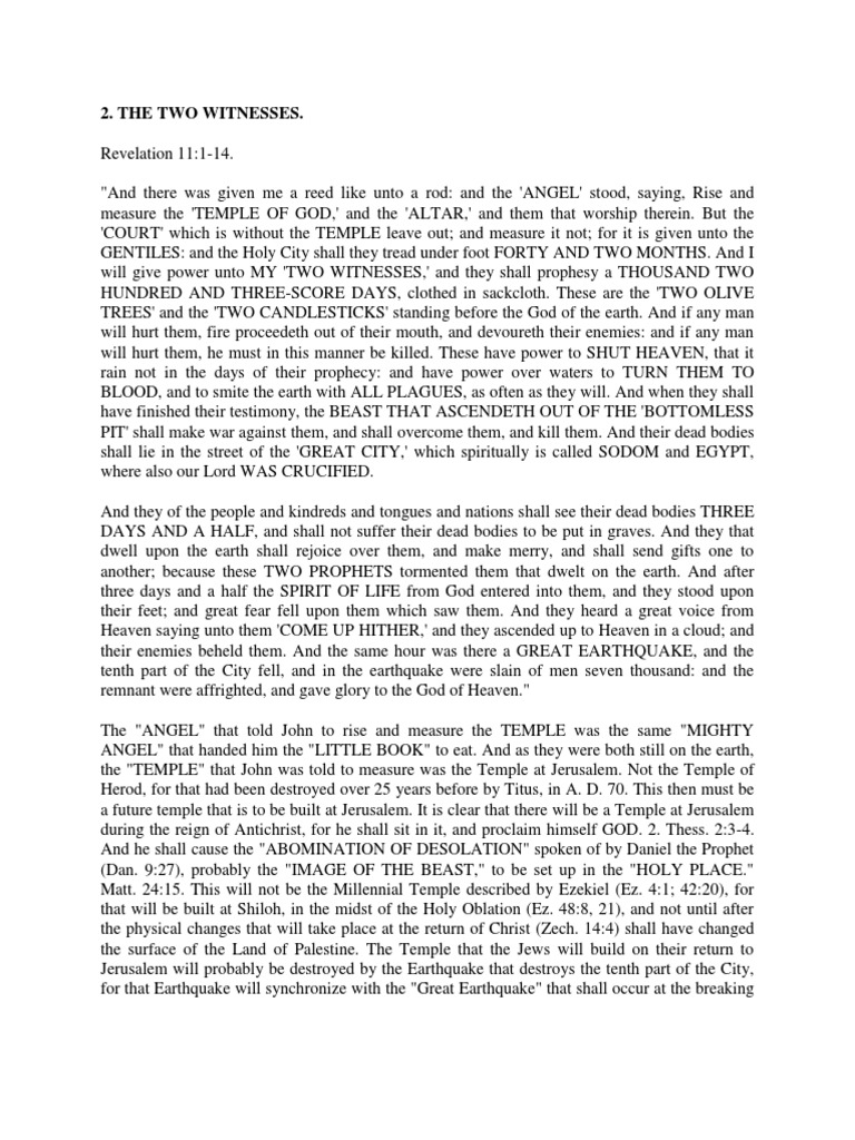 The Two Witnesses | PDF | Elijah | John The Baptist